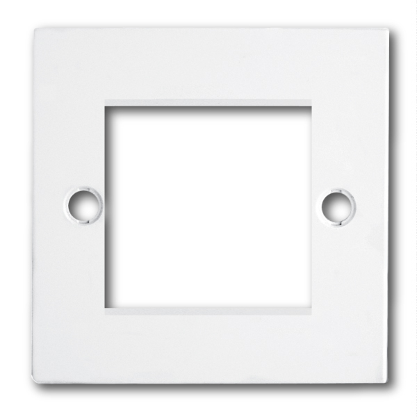 Generic 2 module Cat 5 / 6 / Rj45 Network Face Plate single gang ...